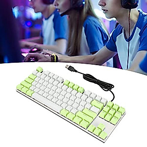 Mechanical Keyboard, 87 Keys Backlight Design Gaming Keyboard, 2 Color Injection Molding Floating Keycaps, Compact Keyboard with Dustproof Blue Switches for Gamers Typists Plug and Play(Green White)