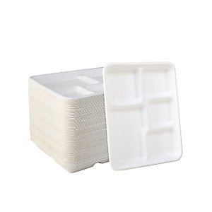 Vplus 100% Compostable 5 Compartment Plates 125 Pack Eco-Friendly Disposable Sugarcane 10 x 8 inch Bagasse School Lunch Tray Perfect for Boys and Girls