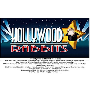 Hollywood Rabbit Feed