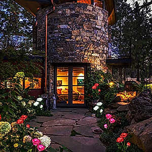 Anordsem Solar Outdoor Lights - 2 Pack Garden Decor Lights Waterproof Solar Garden Lights Red Rose Light for Garden, Patio, Yard, Flowerbed,Pathway Decor