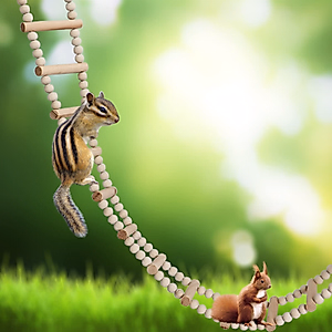 Bird Wooden Ladder Bridge, Pet Hamster Climbing Ladder Swing Toys, Pet Bird Cage Accessories, Wood Climbing Ladders for Bird Parrot Hamster Squirrel Sugar Gliders (20 Ladders)(45.3x3.14 Inches)