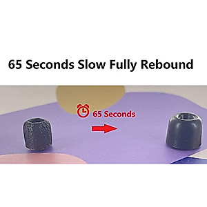 Memory Foam Ear Tips Noise Canceling Foam Eartips Ear Plug Ear Tip Gels Compatible with Beats Studio Buds/Beat Fit Pro, [Fit in Case],L/M/S 3 Size 6 Pairs,Black (Foampsb6p)