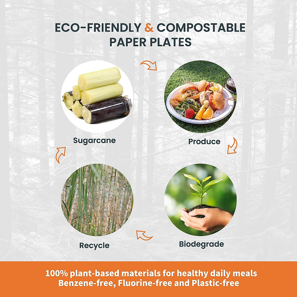 hooray mida 100% Compostable Plates, Disposable Paper Plates 125-Count - Heavy Duty, Biodegradable Plates Made of Bagasse - Eco Friendly and Sustainable (Natural, 7 inch)