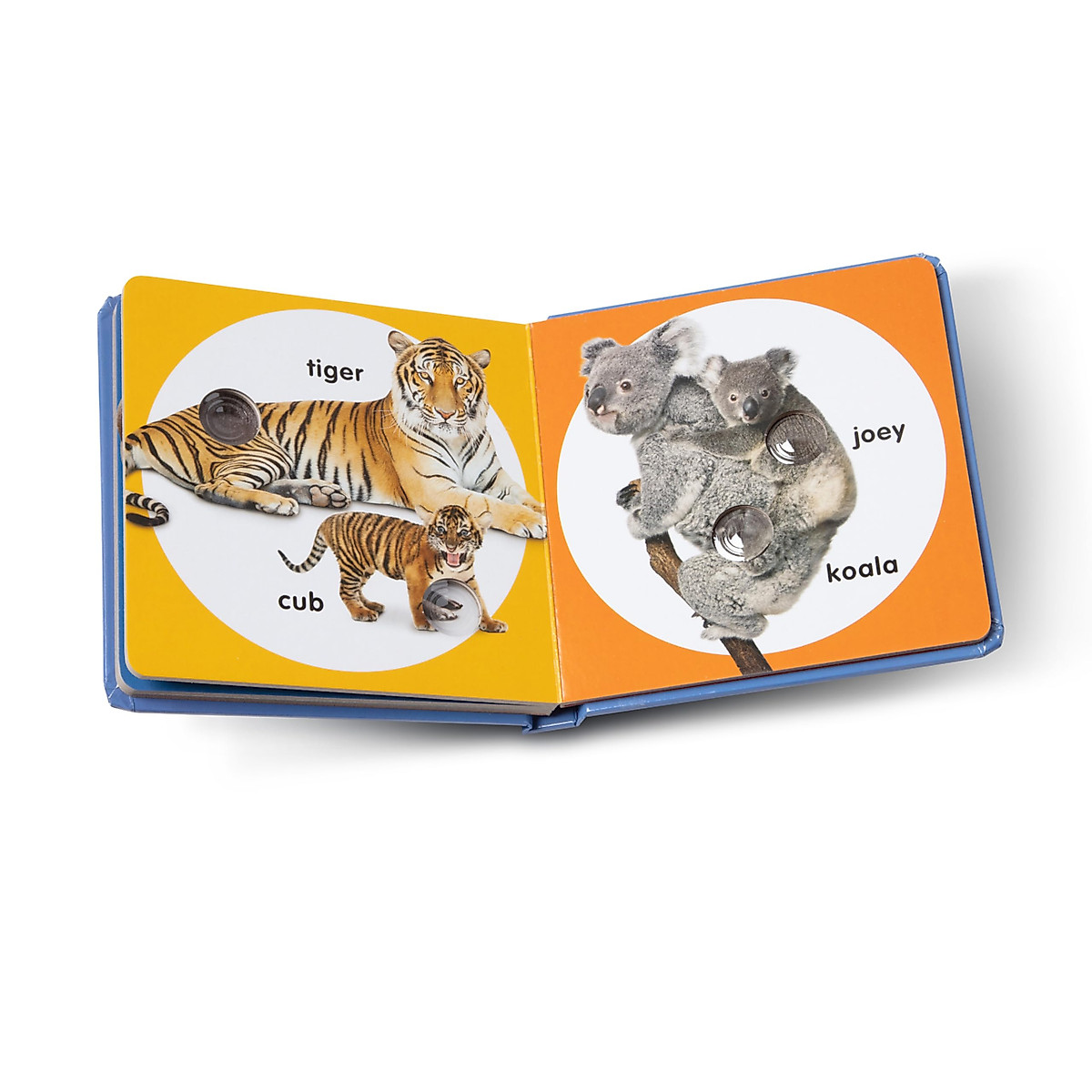 Melissa & Doug Children’s Book – Poke-a-Dot: Wild Animal Families (Board Book with Buttons to Pop)
