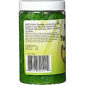 Nature Zone Total Bites for Feeder Insects 10 oz - Pack of 2