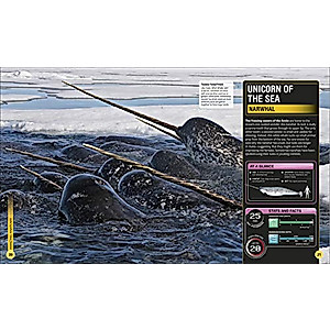 Super Shark Encyclopedia: And Other Creatures of the Deep (DK Super Nature Encyclopedias)