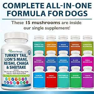 Nutrition Strength 15-in-1 Mushrooms for Dogs Turkey Tail 600mg Lion's Mane 600mg Reishi 600mg Shiitake 500mg Cordyceps 300mg Chaga 300mg Maitake 200mg Meshima Blazei Poria Enoki Portobello 90 Tablets