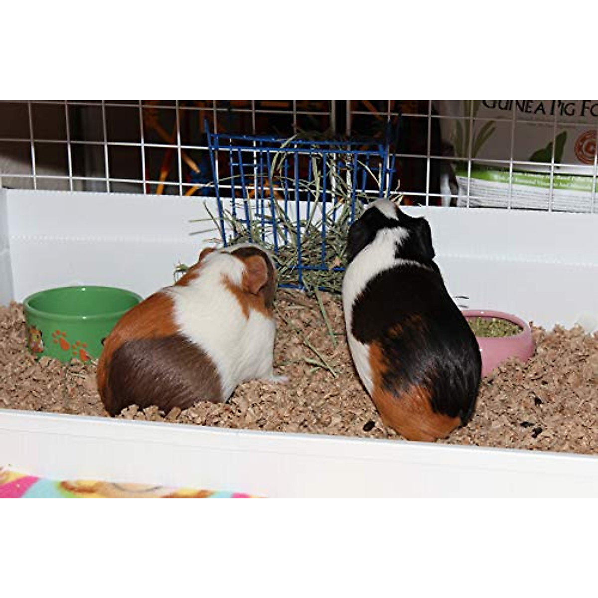 Small Pet Select Premium Small Animal Bedding, Natural Soft Paper Bedding for Small Indoor and Outdoor Pets, Made in USA, 56 L Pack