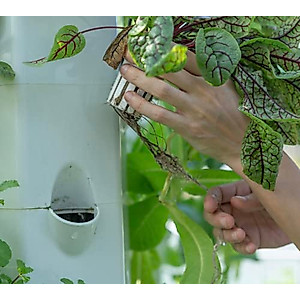 20 Aerospring Hydroponics Replacement White Grow Cups - Specifically Designed for Aerospring Hydroponic Systems