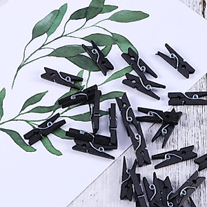 LIOOBO Mini Clothes Pins: 100PCS Small Clothespins for Photo, Wooden Clothes Pin, Clothespin for Photos, Crafts, Arts Black