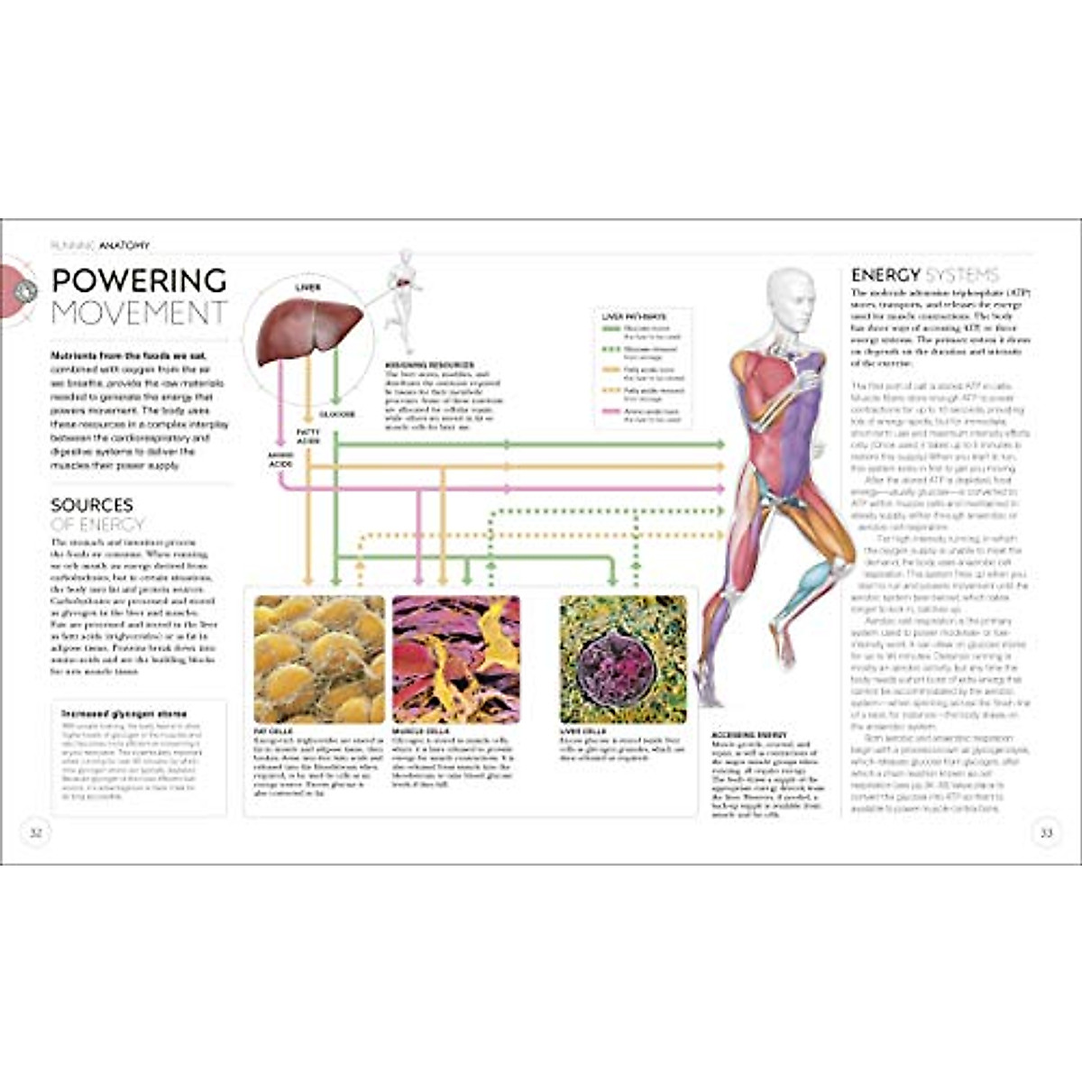 Science of Running: Analyze your Technique, Prevent Injury, Revolutionize your Training (DK Science of)