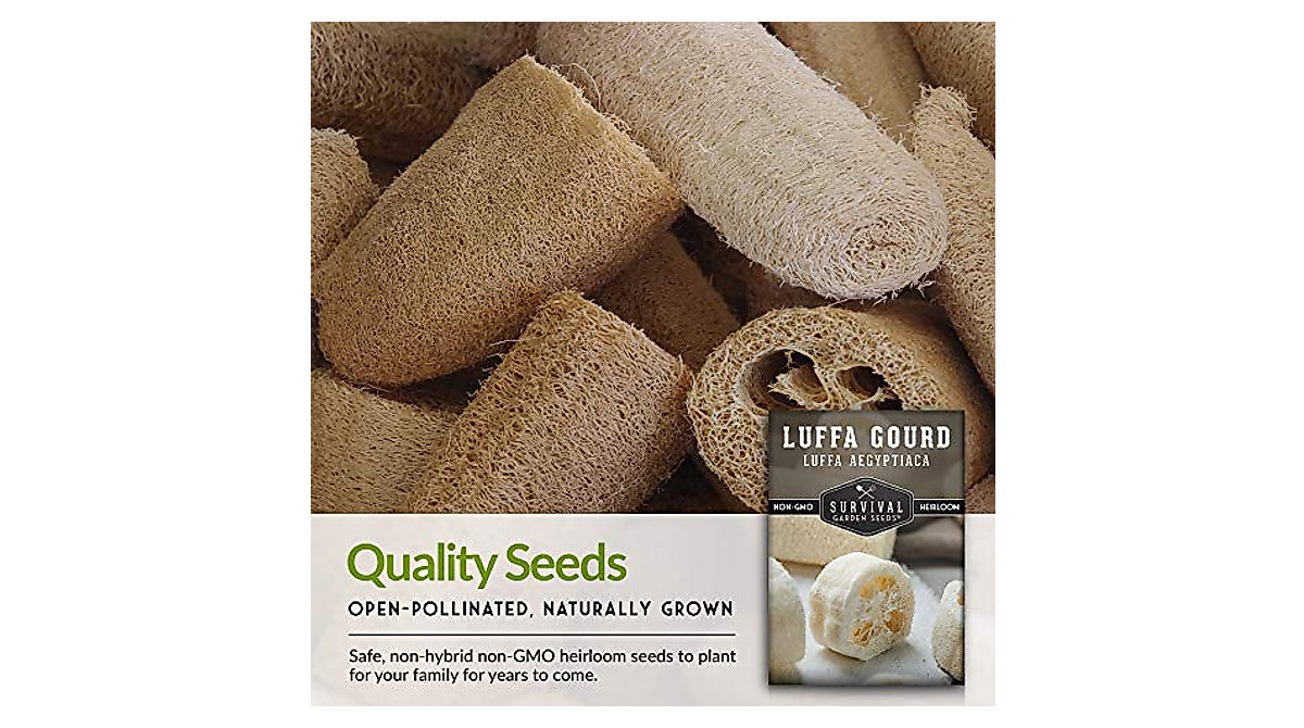 Luffa Seeds for Gardening | Grow Eco-Friendly Sponges & Gourds
