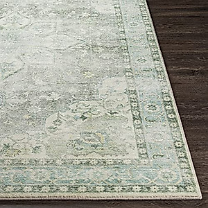 Mark&Day Area Rugs, 8x10 Heiereind Traditional Sage Area Rug Green Gray Blue Carpet for Living Room, Bedroom or Kitchen (7'6" x 9'6")