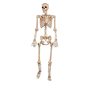 Crazy Bonez Pose-N-Stay Skeleton