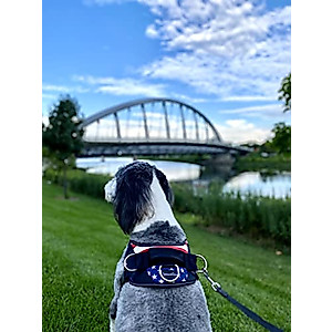 ShawnCo Essential Dog Harness, No-Pull Pet Vest with 3 Leash Clips, No Choke, Reflective, Adjustable and Padded, for Easy Walking and Training for Small, Medium and Large Dogs (Stars and Stripes, L)