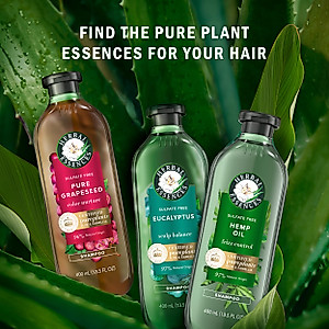 Herbal Essences Bio: Renew Aloe + Eucalyptus Sulfate Free Shampoo Scalp Balance, 13.5 Fl Oz, 5.491 Fl Oz