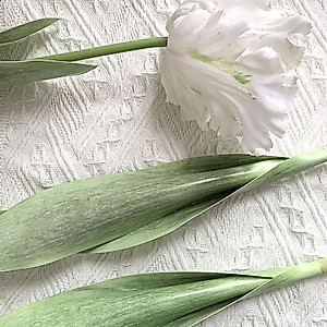 MISNODE 3PCS Artificial Parrot Tulip Flower Stems, White 27 Inch Parrot Tulip Bouquet, Single Head Silk Tulips Flower Branches for Wedding Bridal Bouquet Party Home Garden Decor