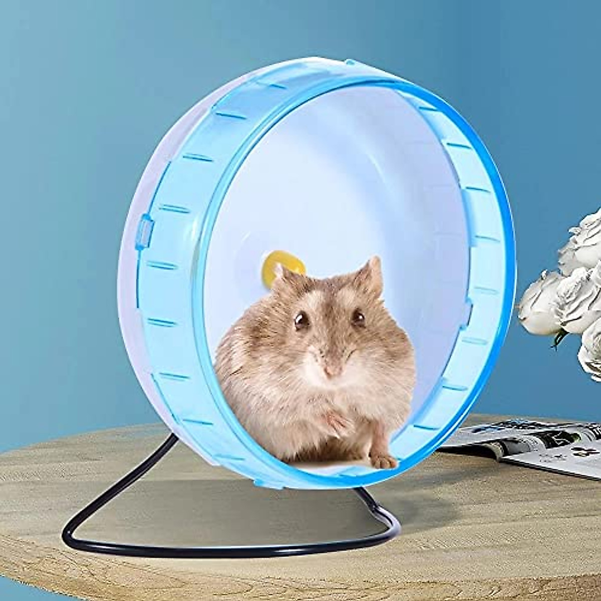 TDDGG Hamster Exercise Wheel Pet Running Spinner Exercise Wheel Silent Toys Sturdy Hamster Wheel Silent Hamster Wheel (Color : Blue)