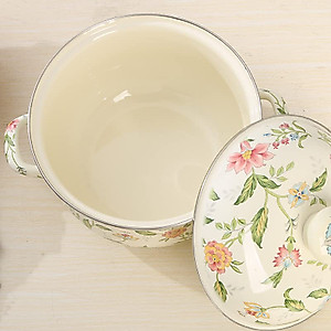 Colorful Enamel Stock Pot with Lid Double Ear for Cooking, 20x20cm, BMR0609A2S15L5