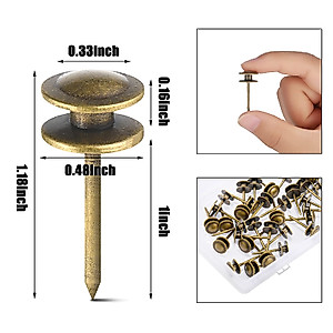 Hotop 25 Pieces Double Headed Picture Hangers Nails Small Head Hanging Nails Picture Photo Hanging Hook Pins Decorative Nail Hook Hangers for Home Office School (Bronze) as shown MY-Hotop-11068