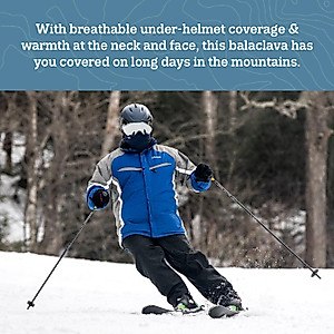 Turtle Fur Shellaclava Chelonia 150 Fleece Neck Warmer Helmet Liner Winter Balaclava Hood, Black