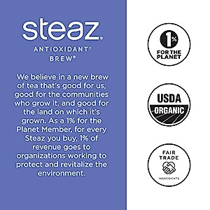 Steaz Organic Lightly Sweetened Iced Green Tea, Blueberry Pomegranate, 16 Oz (Pack Of 12)
