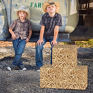 6PCS Hay Bales Boxes Decor Western Cowboy Party Decorations Large Farm Fake Trunk or Treat Car Photo Booth Wooden Grain Straw Fall Harvest Halloween for Rodeo Birthday Baby Shower Favors Supplies