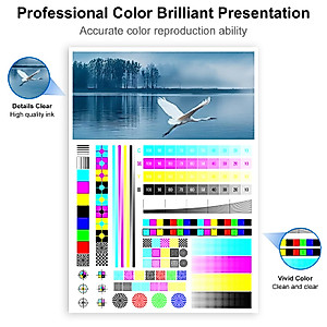 FACMS Compatible 280XXL Ink Cartridge Replacement for Canon 280 281 Ink Cartridges PGI-280XXL CLI-281XXL for PIXMA TR7520 TR8520 TS6120 TS6220 TS6320 TS8120 TS8220 TS9120 TS9520 TS9521C TS702 Printer