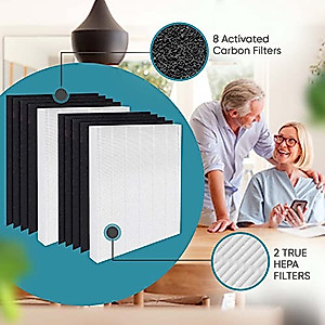 Filters for Winix 115115 - Winix C535 Replacement Filter A - Winix PlasmaWave Filter Replacement - Fit Winix Air Purifier Models C535 P300 5300 6300 AM90. Pack of 2 115115 Hepa + 8 Carbon Filters