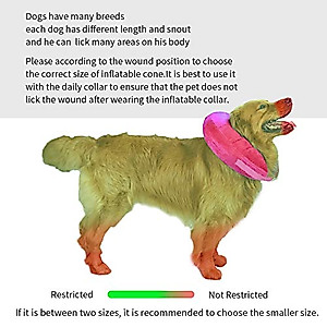 MCHY Inflatable Dog Cone,Adjustable Recovery Collar for Dogs After Surgery,Prevent from Biting & Scratching,Not Block Vision (M, Pink)