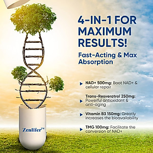Zenlifer 240 Capsules NAD+ 1000MG Resveratrol Boosting Supplement - More Efficient Nicotinamide Riboside for Cellular Energy Metabolism & Repair, Vitality & Healthy Aging