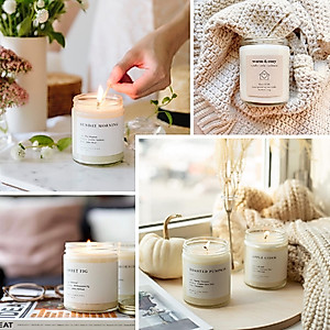 Homerove 8oz Clear Round Glass Jars with Black Lids, Empty Cosmetic Containers for Beauty Products(Set of 12 Pack and Attached with Labels and Spoons)