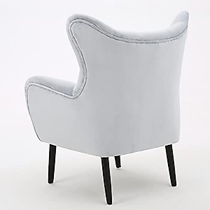 Christopher Knight Home Seigfried Velvet Arm Chair, Light Grey
