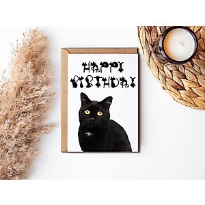 Greeting Card Cat Happy Birthday Card With Cats - Black Cat Birthday Card - Funny Cards - Cat Lovers - Cute Cat Birthday Card - Funny Cat Cards