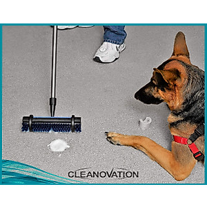 Cleanovation Rug Renovator Floor Scrub Brush with Long Handle, Scrape Brush Stiff Bristle Scrubber, Cleaning for carpet pet stains and odors, 32 Fl oz Carpet Shampoo
