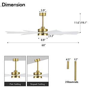 LEDLUX 65" DC Motor Ceiling Fan with Light, 6-Speed Remote Control, Reversible Motor, Modern 9 Blades Ceiling Fan with 4.5"/12" Downrods for Home or Commercial White/Gold