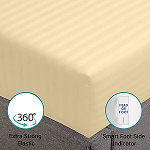 Feather & Stitch Queen Size Damask Bed Sheets|100% Soft Cotton, 4 Pc Set 500 TC Sateen Weave - 1 Flat Sheet, 1 Fitted Sheet & 4 Pillow Cases - Semolina