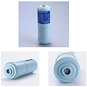 Ionhitech Replacement Biostone Water Ionizer Filter Compatible with Jupiter Delphi Athena Melody Venus Orion Aquarius Neptune Mavello