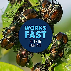 BioAdvanced Tree & Shrub Insect Killer, Ready-to-Spray, 32 oz