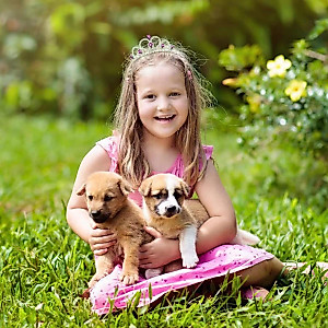 Lovelyshop Purple Gems Rhinestone Tiara for Little Kid Big Kid Prom Birthday Prinecess Crown