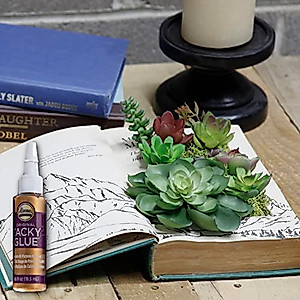 Aleene's 25115 Trial Pack Tacky Glue, 5pk