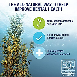 ProDen PlaqueOff Powder for Pets - Cat & Dog Breath Freshener - Plaque & Tartar Remover for Pet Oral Care - Supports Healthy Mouth for Dogs - 60g