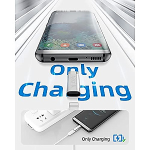 ARKTEK USB-C Adapter i OS Lighting Cable (Female) to USB Type C (Male) - Only Charging Adapter for Phone 13 Galaxy S20 Note 10 Pixel 4 and More (2 Pack, Silver)