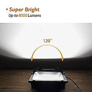 LEPOWER 100W LED Flood Light Outdoor, Plug in Exterior Work Light, 500W Halogen Bulb Equivalent, IP66 Waterproof, 8000LM, 6000K, Outdoor Floodlight Fixture for Backyard, Garden, Garage, Playground