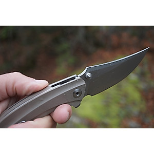 Ruike Camping Tactical Folding Pocket Knife, 14C28N, Liner Lock, Ball Bearing,Fast Opening Flipper,EDC Hunting Survival for Men Women, P155