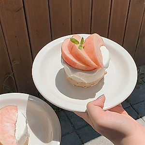 EERINESS Dinner Plates Set Fruit Tray Dessert Plate Plain White Dinner Plate Restaurant Kitchen Regular Dinner Plate Compact Disc Coffee Shop Dessert Flat Plate Kitchen Salad Bowl (Color : Large)