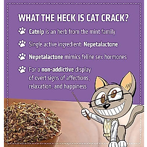Cat Crack Catnip 1 Cup Bundled with Organic Catnip 1 Cup, Premium Blend Safe for Cats, Infused with Maximum Potency Your Kitty is Sure to Go Crazy