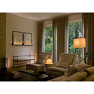 Older Gen 1 Philips 426361 Hue Personal Wireless Lighting, Single Bulb, Retail