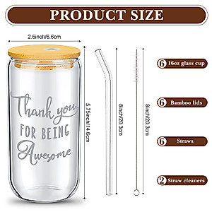 Purpeak 6 Set Team Gifts for Employees Thank You Gifts Teacher Staff Appreciation Gifts 16oz Can Shaped Beer Glass with Lids Straws Brushes Thank You Cups for Nurse Coworkers(Stylish Style)