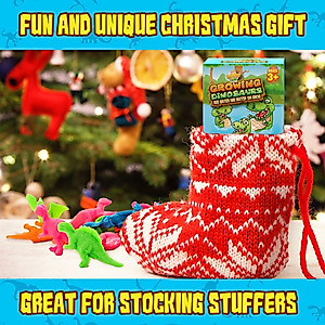 IPIDIPI TOYS Water Growing Dinosaur Toys for Kids - 30 Pack Dinosaur Party Favors for Kids, Goodie Bag Stuffers, Piñata Stuffers, School Prize Box Toys for Boys, Growing Animals in Water